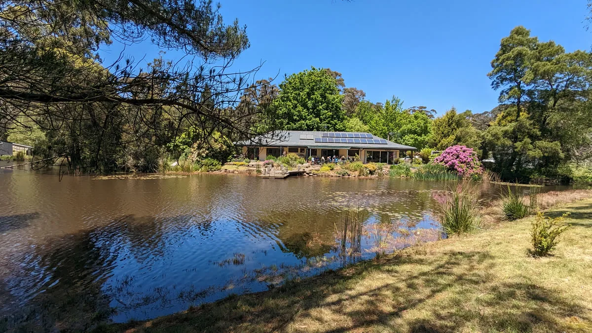 Xmas 2022 – Pandora Ponds - Lilac Moon Tai Chi